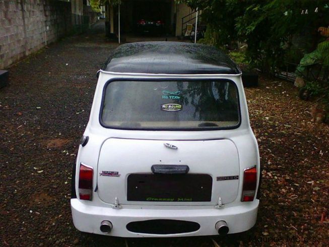 Used Mini 1000 | 1947 1000 for sale | Mahebourg Mini 1000 sales | Mini ...