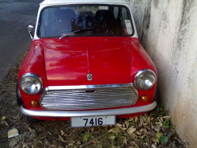 Used Mini 1000 | 1961 1000 for sale | terre rouge Mini 1000 sales ...