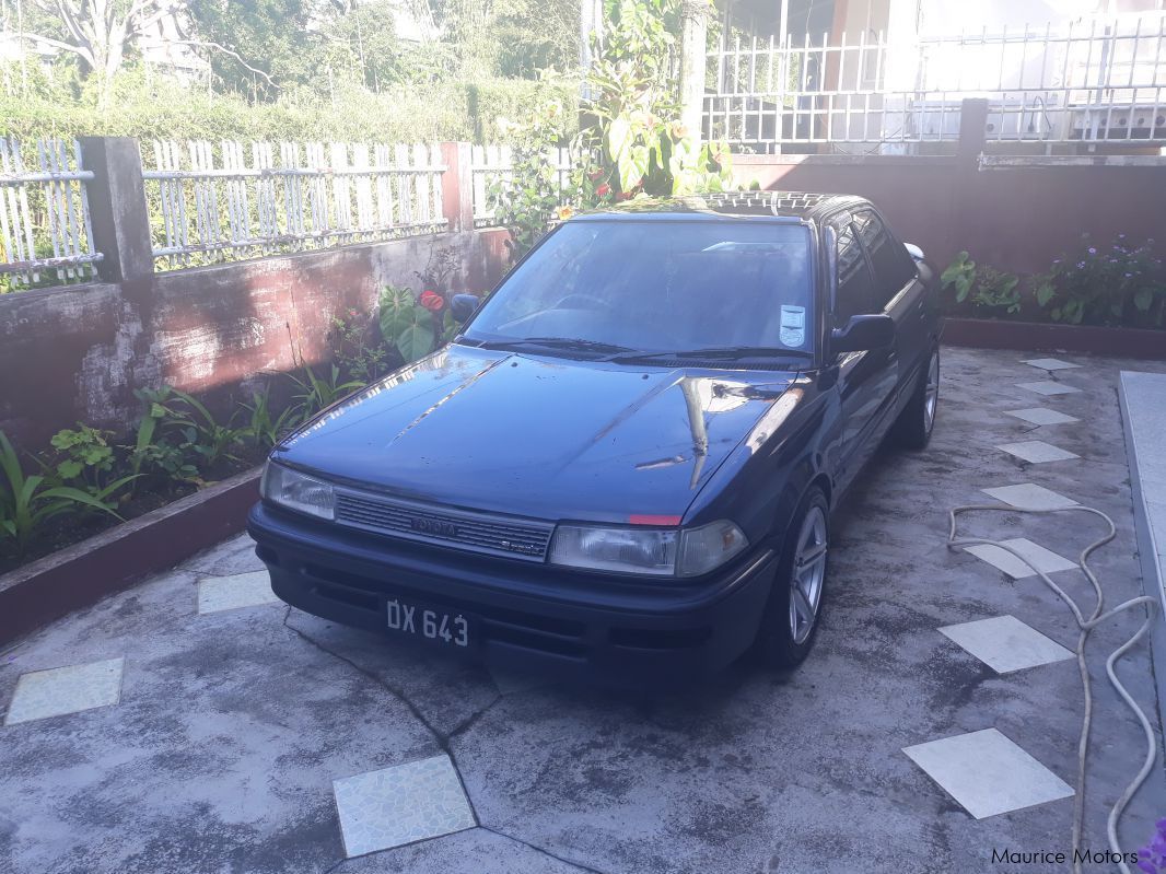 Used Toyota Corolla EE90 | 1990 Corolla EE90 for sale | Camp Caval ...