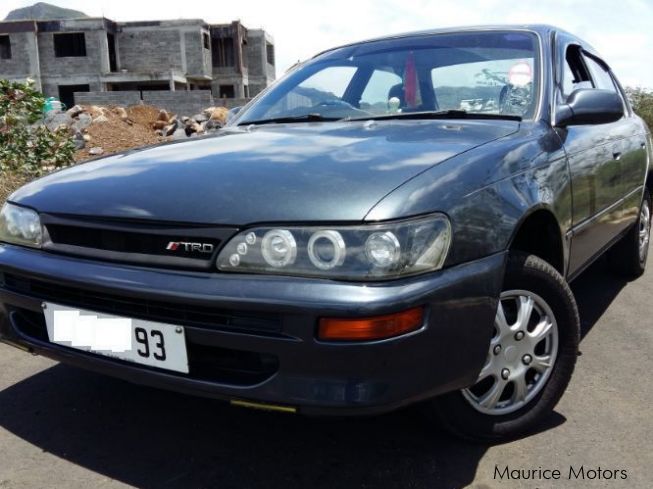 Used Toyota Corolla EE101 | 1993 Corolla EE101 for sale | Rose-Hill ...