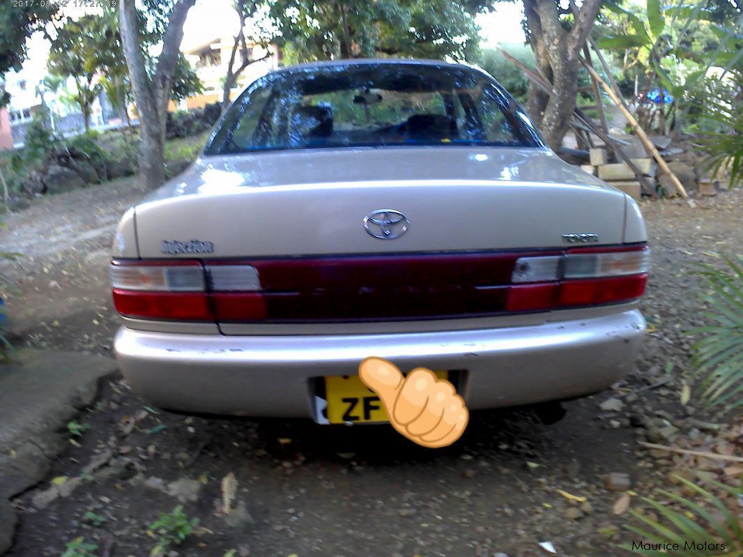 Used Toyota EE101 | 1993 EE101 for sale | Palmar Toyota EE101 sales ...