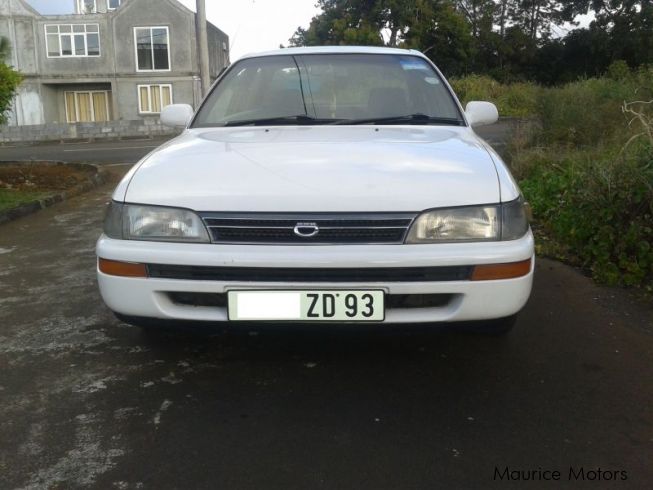 Used Toyota EE101 | 1993 EE101 for sale | W273 Pinewoods Garden Wooton ...