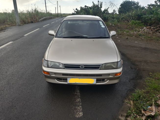 Used Toyota EE101 | 1993 EE101 for sale | Palmar Toyota EE101 sales ...