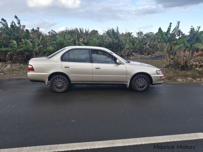 Used Toyota EE101 | 1993 EE101 for sale | Palmar Toyota EE101 sales ...