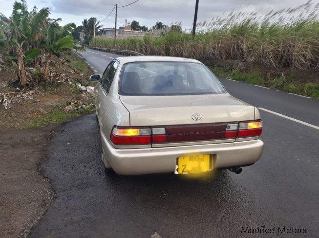 Used Toyota EE101 | 1993 EE101 for sale | Palmar Toyota EE101 sales ...