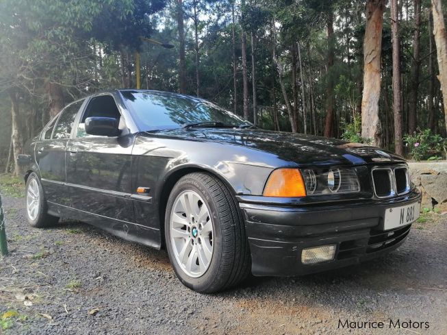 Used BMW 316i E36 | 1994 316i E36 for sale | Saint Julien BMW 316i E36 ...