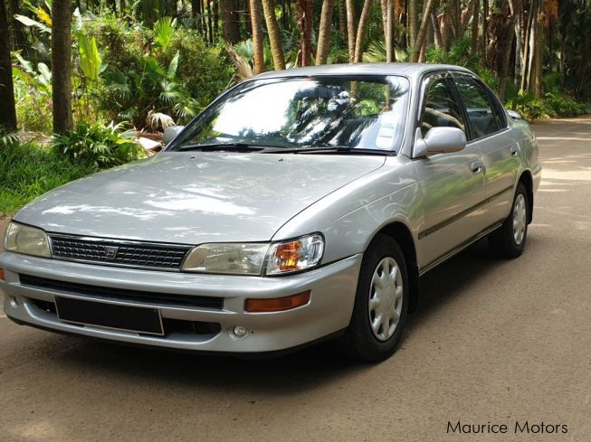 Used Toyota E101 | 1994 E101 for sale | Vieux Grand Port Toyota E101 ...