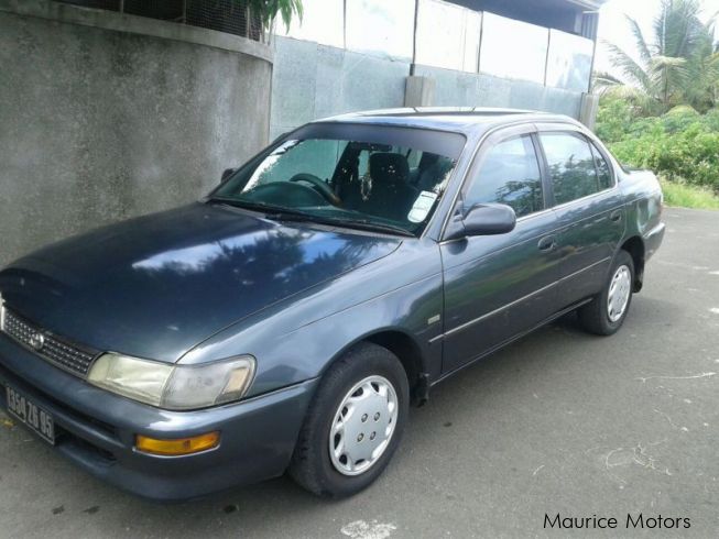 d'occasion Toyota EE101 | 1995 EE101 à vendre | ventes à Bel-air ...