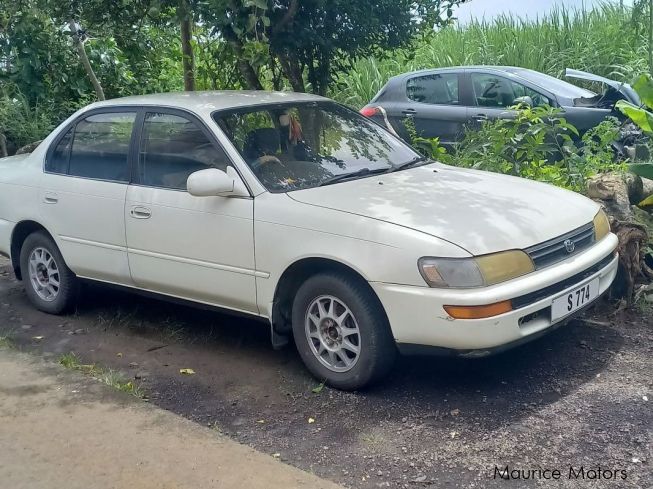 Used Toyota Corolla EE101 | 1996 Corolla EE101 for sale | Camp de ...