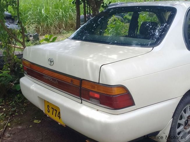 Used Toyota Corolla EE101 | 1996 Corolla EE101 for sale | Camp de ...