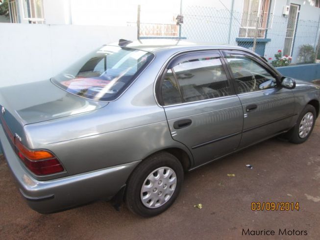 Used Toyota corolla | 1996 corolla for sale | long mountain Toyota ...