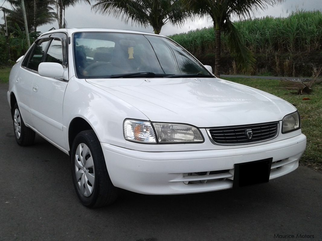Used Toyota Corolla CE110 | 1997 Corolla CE110 for sale | Plaine ...