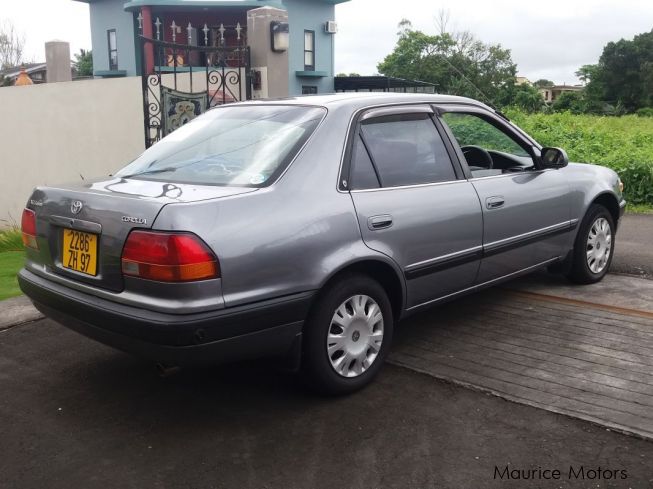 Used Toyota Corolla | 1997 Corolla for sale | Belvédère Toyota Corolla ...