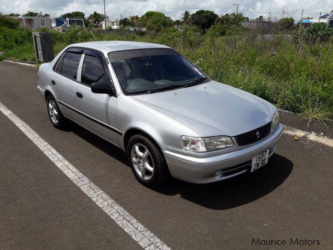 Used Toyota Corolla | 1998 Corolla for sale | Pointe-aux-Piments Toyota ...
