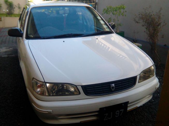 Used Volkswagen Polo Classic | 1998 Polo Classic for sale | Grand Gaube ...