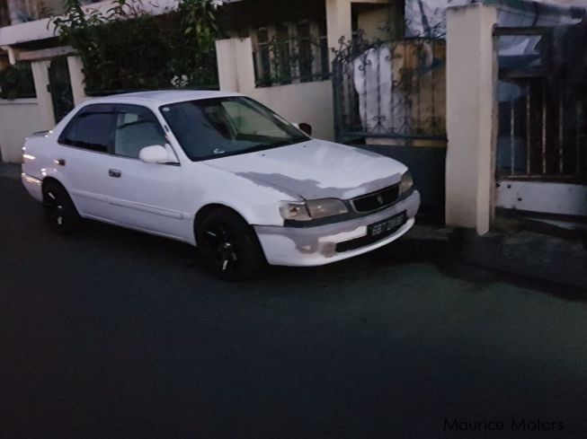 Used Toyota AE110 | 1999 AE110 for sale | Rose Hill Toyota AE110 sales ...