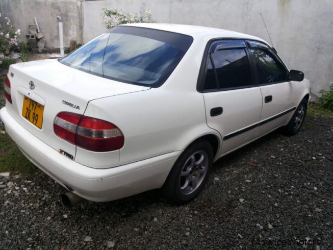 Used Toyota Corolla | 1999 Corolla for sale | MOKA Toyota Corolla sales ...