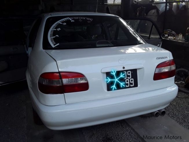 Used Toyota Ee111 | 1999 Ee111 for sale | Morcellemont Saint Andre ...