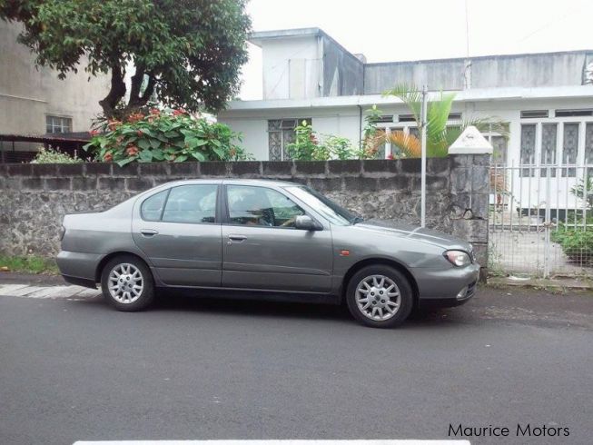 Used Nissan primera | 2000 primera for sale | rose hill Nissan primera ...