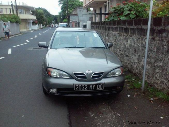 Used Nissan primera | 2000 primera for sale | rose hill Nissan primera ...