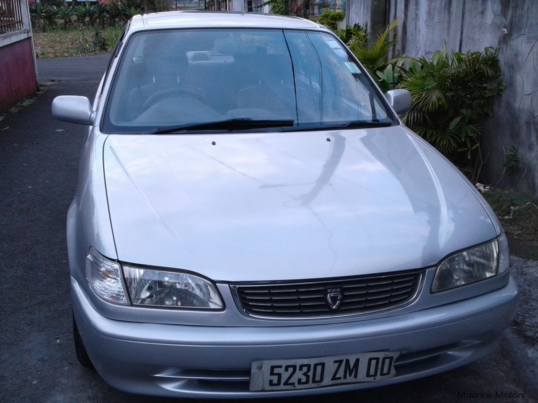 Used Toyota EE 111 | 2000 EE 111 for sale | Camp de Masque Toyota EE ...