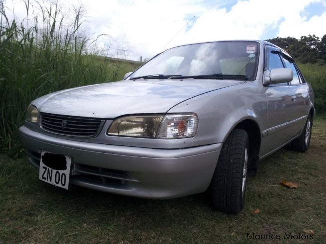 Used Toyota EE111 | 2000 EE111 for sale | Palma Quatre-Bornes Toyota ...