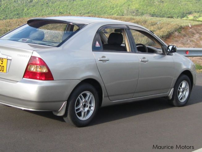 Used Toyota corolla Vvti | 2000 corolla Vvti for sale | Long Mountain ...