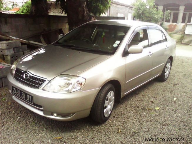 Used Toyota Corolla NZE- G Grade | 2001 Corolla NZE- G Grade for sale ...