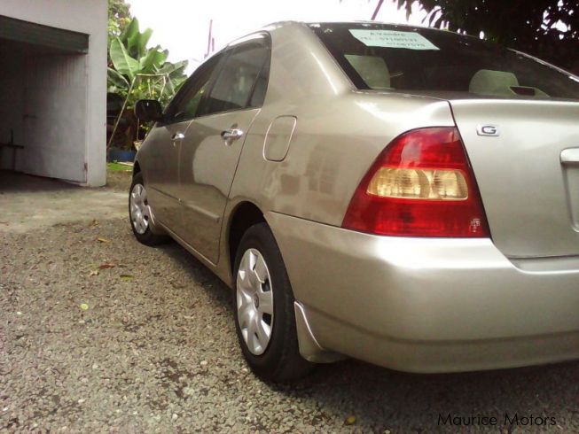 Used Toyota Corolla NZE- G Grade | 2001 Corolla NZE- G Grade for sale ...