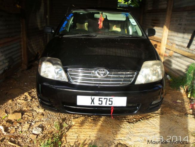 Used Toyota corolla NZE | 2003 corolla NZE for sale | Albion Rd Petite ...