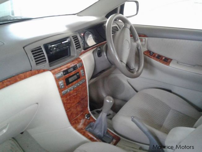 Used Toyota NZE | 2006 NZE for sale | Vacoas Toyota NZE sales | Toyota ...