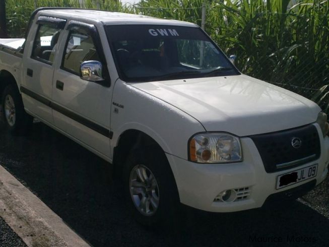 Used GWM Sailor | 2009 Sailor for sale | st julien dhotman GWM Sailor ...