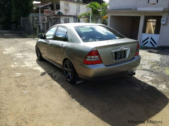 Used Aprilia 125 RACING | 2014 125 RACING for sale | Phoenix Aprilia ...