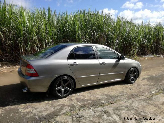 Used Aprilia 125 RACING | 2014 125 RACING for sale | Phoenix Aprilia ...