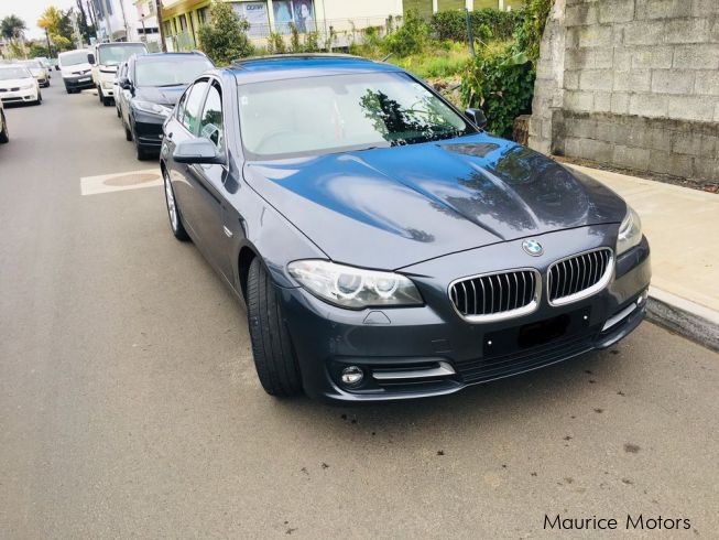 Used BMW 520I F10 LCI | 2016 520I F10 LCI for sale | Floreal BMW 520I ...