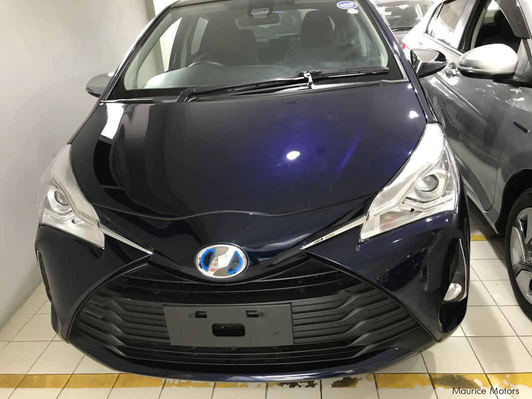 Used Toyota VITZ - DARK BLUE | 2016 VITZ - DARK BLUE for sale | Rose ...