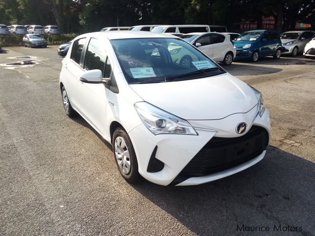 d'occasion Toyota Vitz | 2020 Vitz à vendre | ventes à Bon Accueil de ...