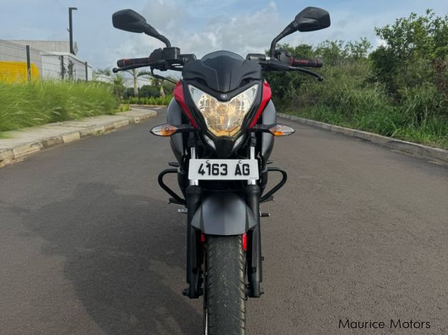 Used Bajaj Pulsar | 2021 Pulsar for sale | Port Louis Bajaj Pulsar sales | Bajaj Pulsar Price Rs ...