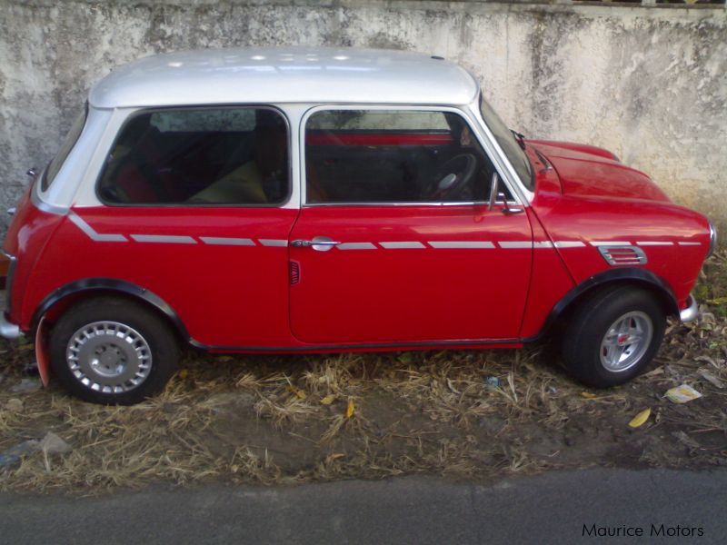 Used Mini 1000 | 1961 1000 for sale | terre rouge Mini 1000 sales ...