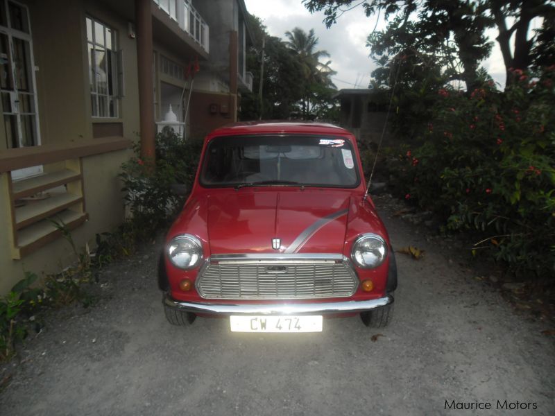 Used Mini 1000 | 1988 1000 for sale | brisee verdiere Mini 1000 sales ...