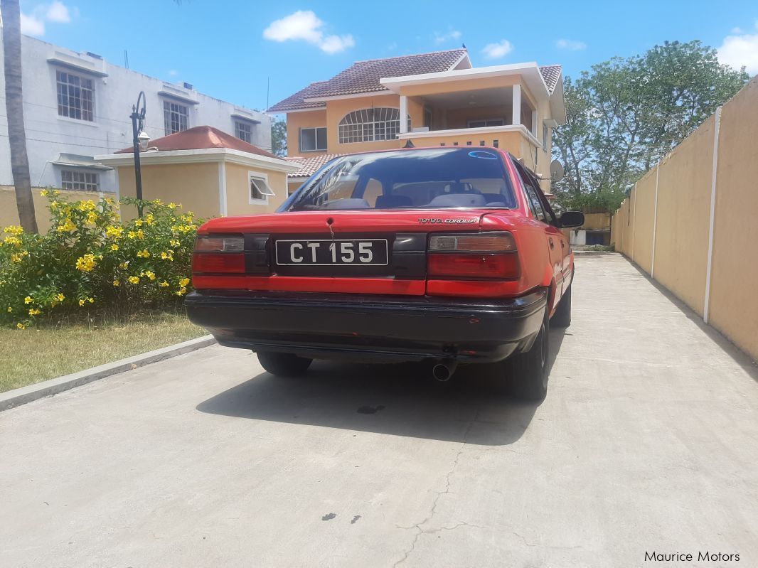 Used Toyota Corolla Ee90 | 1988 Corolla Ee90 for sale | Albion Toyota ...