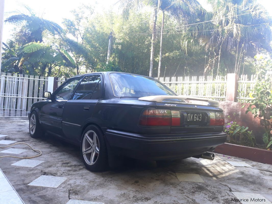 Used Toyota Corolla EE90 | 1990 Corolla EE90 for sale | Camp Caval ...