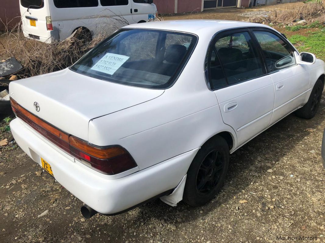 Used Toyota EE101 | 1991 EE101 for sale | Flacq Toyota EE101 sales ...