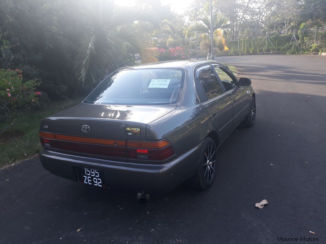 Used Toyota EE101 | 1992 EE101 for sale | Pamplemousses Toyota EE101 ...