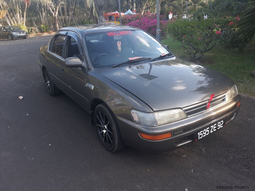 Used Toyota EE101 | 1992 EE101 for sale | Pamplemousses Toyota EE101 ...