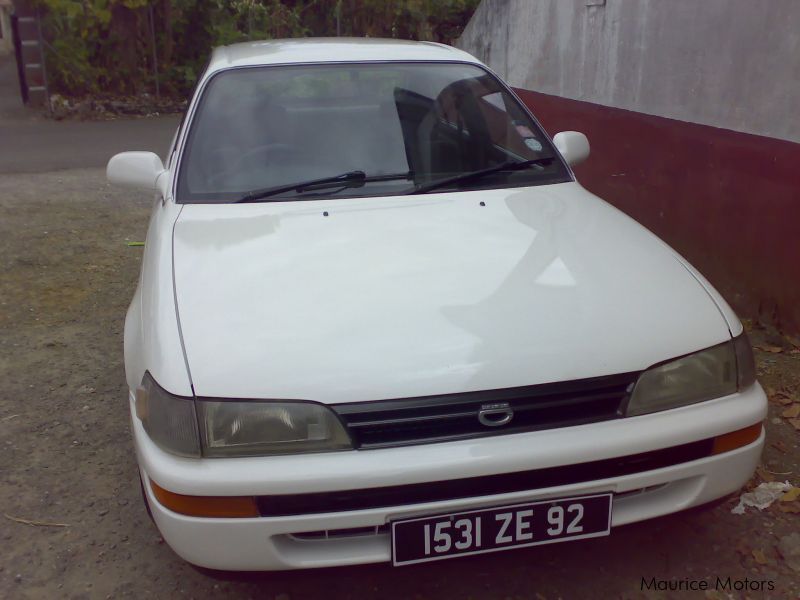 Used Toyota corolla EE 101 | 1992 corolla EE 101 for sale | rose-belle ...