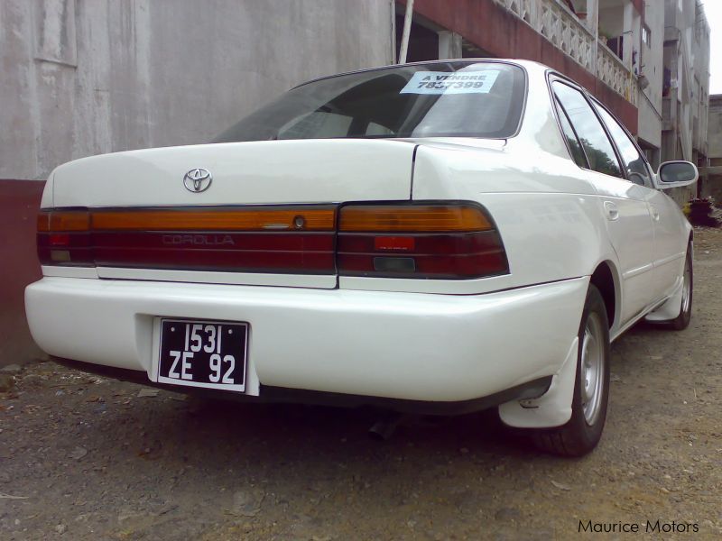 Used Toyota corolla EE 101 | 1992 corolla EE 101 for sale | rose-belle ...