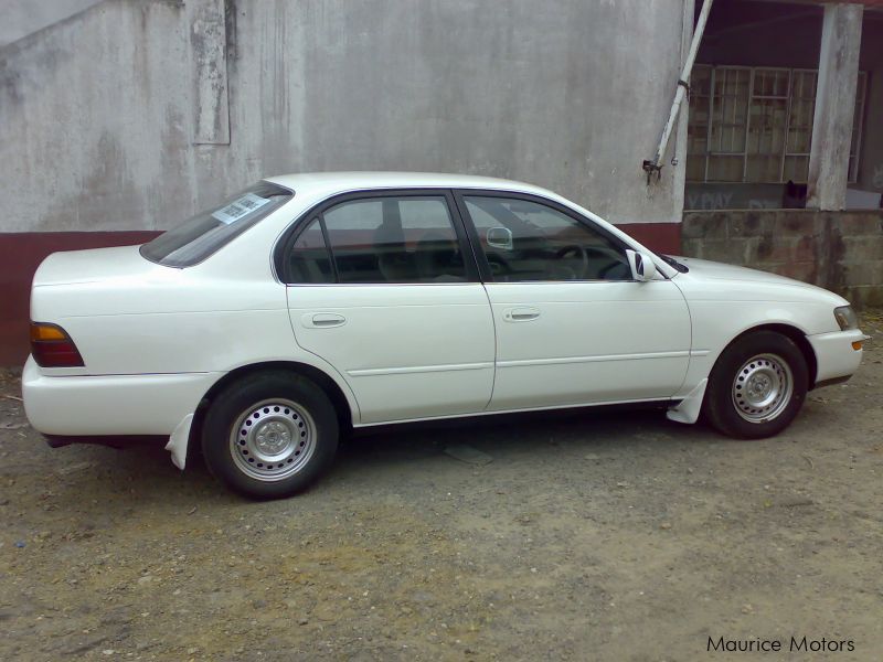 Used Toyota corolla EE 101 | 1992 corolla EE 101 for sale | rose-belle ...
