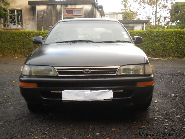 Used Toyota EE 100 | 1993 EE 100 for sale | ROYAL ROAD UNION PARK ...