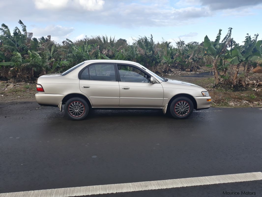 Used Toyota EE101 | 1993 EE101 for sale | Palmar Toyota EE101 sales ...